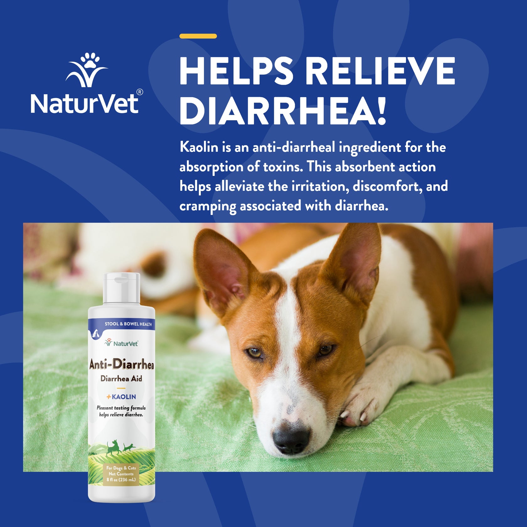 Dog and Cat Anti-Diarrhea Liquid - NaturVet®