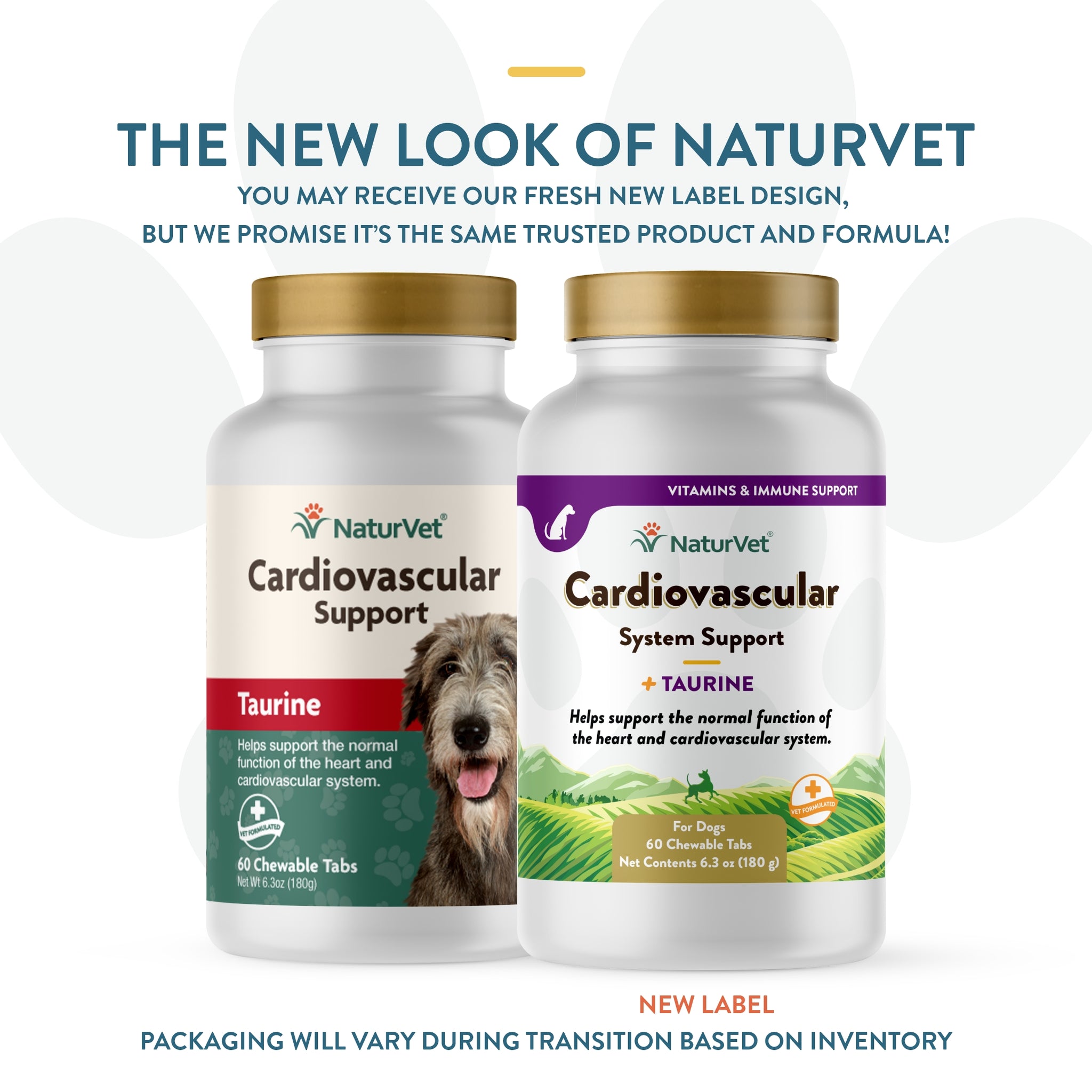 Cardiovascular Support Tablets for Dogs - NaturVet®