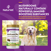 Mushroom Max for Dogs and Cats - NaturVet®