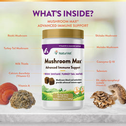 Mushroom Max for Dogs and Cats - NaturVet®