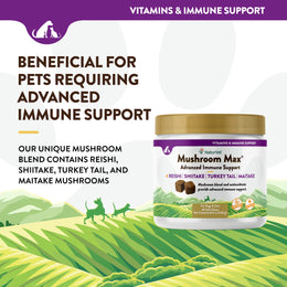 Mushroom Max for Dogs and Cats - NaturVet®