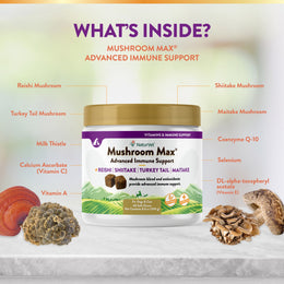 Mushroom Max for Dogs and Cats - NaturVet®