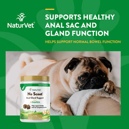 No Scoot® Soft Chews for Dogs - NaturVet®